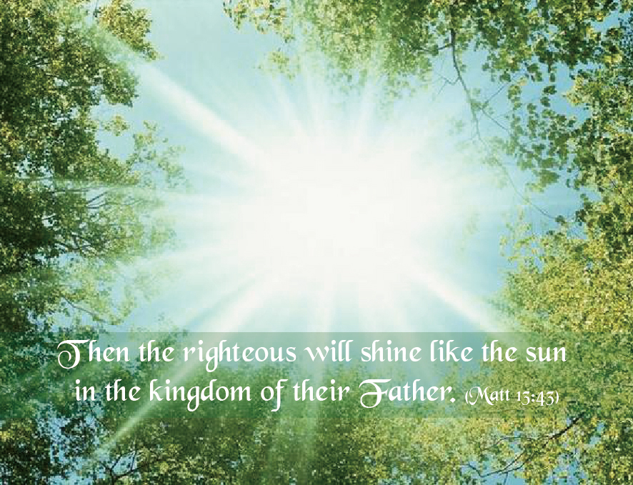 23th July 2023 Sixteenth Sunday in Ordinary Time – 天主教聖方濟堂
